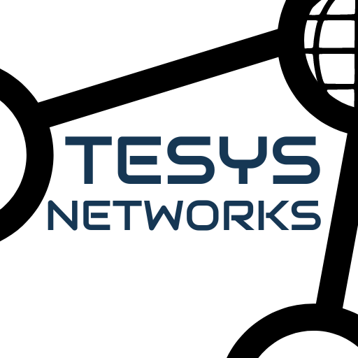 About Us – Florida | Network Solutions Team